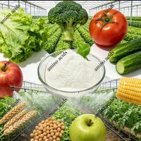 China 100% Water Soluble Amino Acid Powder 80% from Non-GMO Soybean Meal for Fertilizer Formulation for sale