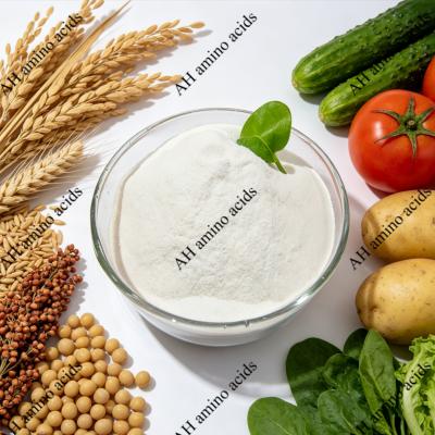China Non-GMO Soybean Meal Amino Acid 80% Powder - 100% Water Soluble with ≥80% Total Amino Acids for Fertilizer Production for sale