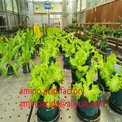 China Non-GMO Soybean-Derived Liquid Amino Acid Fertilizer with 400g/L Free Amino Acids and Fully Water Soluble Formula for sale