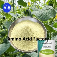 China Non-GMO Soybean Meal Amino Acid 80% Soy Protein Hydrolysate Light Yellow Powder 100% Water Soluble Free Amino Acid Powder for sale