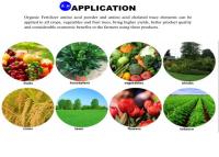 China Professional Plant Origin Compound Amino Acid Powder 70% Biological Fertilizer for sale