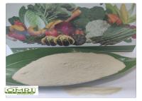 China Enzymatic Hydrolysis Organic 20kg/Bag Fish Meal Fertilizer for sale