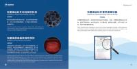 China Unscented support mattress core Hai Mengwei Graphene Cushion Series for sale