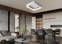 China No leaf ceiling fan lamp household bedroom living room invisible air conditioner electric fan ceiling fan lamp for sale