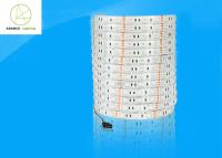 China IP65 300 LEDS 12V 5M 5050 RGB LED Strip Light High Lumen 50000H for sale