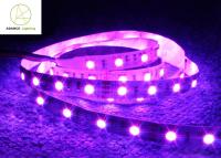 China IP65 300 LEDS 12V 5M 5050 RGB LED Strip Light High Lumen 50000H for sale