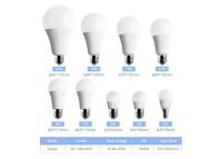 China IP44 Garden Energy Saving Light Bulbs 30000h Cool White Warm White for sale