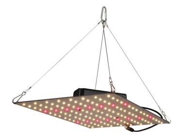 China 3500K LED Plant Growth Lamp Lm301b  3x3 Led Grow Tent Kit 128 Top Bin for sale