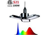 China 700nm Full Spectrum Led Grow Lights For Indoor Plants Ip44 for sale