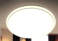 China Cri80 960LM Ceiling Mounted LED Lights 12 Watt Warm White Pure White for sale