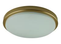China 1650lm Microwave Sensor Ceiling Light 18w Round Led Ceiling Light for sale
