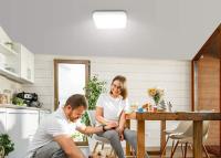 China 24 Watt 1250lm Ceiling Mounted LED Lights 230V Surface Ceiling Light Square for sale