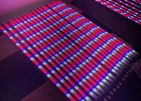 China 80w LED Plant Growth Lamp 0.6m Led Grow Light T8 Full Specturm for sale