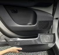 China For Xiaopeng G6 Modified Door Kick Pad ABS Carbon Fiber Protective Pad Door Panel protection Interior Door Kick Plate for sale