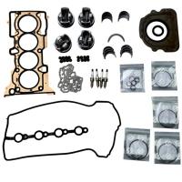 China For LEAPMOTOR C01Hybrid Universal Timing Chain Main Component OEM 7101176-CJ01 for sale