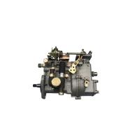 China New High Quality Auto Parts for Anhui Quanchai Diesel Engine Fuel Injection Pump N490ZLQ for sale