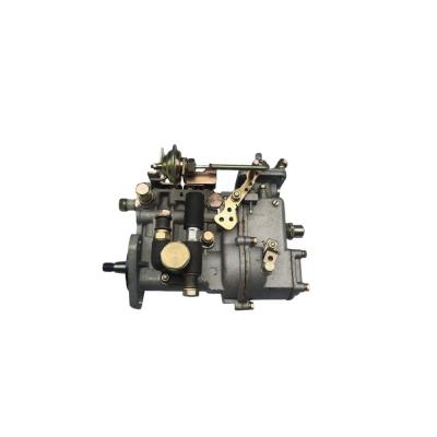 China New High Quality Auto Parts for Anhui Quanchai Diesel Engine Fuel Injection Pump N490ZLQ for sale