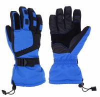 China Outdoor Ski Hiking Gloves Windproof Water Repellent Nylon Back Cold Resistant Warm Winter Gloves for Adults for sale