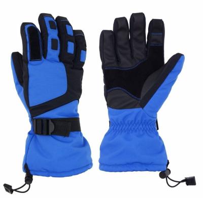 China Outdoor Ski Hiking Gloves Windproof Water Repellent Nylon Back Cold Resistant Warm Winter Gloves for Adults for sale