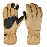 China Non Slip Thermal Gloves for Autumn Cycling Skiing Touch Weight Lifting Outdoor Sports Windproof Waterproof UV Protection for sale