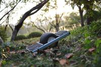 China 11 Inch 700w Smart Electric Skateboard With One Tire for sale