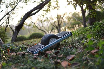 China 11 Inch 700w Smart Electric Skateboard With One Tire for sale