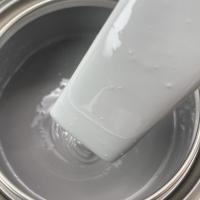 China Epoxy Base Coat Car Paint Primer Automotive 2k Primer Weather Resistance for sale