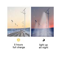 China Anticorrosive Outdoor Solar LED Street Light Moistureproof Practical for sale