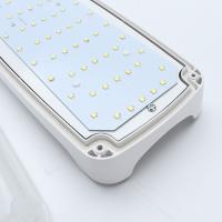 China 3000K 4000K 6500K Moisture Proof LED Lights Multipurpose Durable for sale