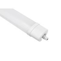 China Stable Multifunctional Tri Proof Lamp , Anti Corrosion 20W LED Batten for sale