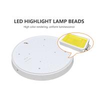 China Office Hotel Round White Surface Frameless SMD 24w Led Panel Light for sale