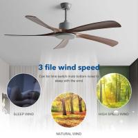 China Easy Installation Pure Copper Motor Decorative 60 Inch DC ABS Blade Remote Control Modern Ceiling Fan Lighting for sale