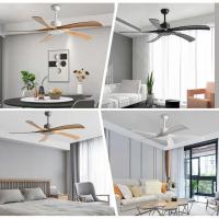 China Easy Installation Pure Copper Motor Decorative 60 Inch DC ABS Blade Remote Control Modern Ceiling Fan Lighting for sale