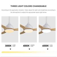 China Modern Design 48 Inch Indoor Living Room Remote Control Led Ceiling Fan With Light for sale
