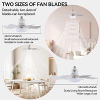 China Ceiling Fan Lamp 6 Blades Dimmable LED E27 Ceiling Fan Light 3 Wind Speed Remote Control Modern ceiling fan with led lig for sale
