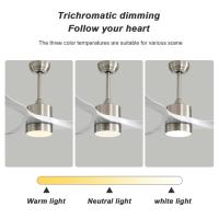China 52 Inch Bldc Ceiling Fan Modern 3 Abs Blades Chandelier LED Ceiling Fans With Light for sale