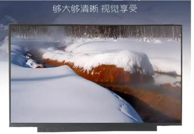 China NE160WUM-NX2 BOE 16.0