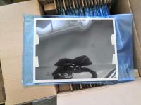China 1.82W 1024×768 Viewing angle 89/89/89/89 G150XAN02.0 85PPI 500cd/m2 AUO TFT LCD for sale