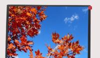 China TM101JDHP01 TIANMA 10.1 inch 1280(RGB)×800 400 cd/m² INDUSTRIAL LCD DISPLAY for sale