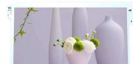 China TM101DDHG06 TIANMA 10.1