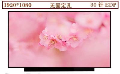 China N133HCE-EN1 Innolux 13.3
