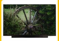 China LP156WF9-SPK1 LG Display 15.6