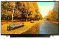 China LP156WF1-TLC1 LG Display 15.6