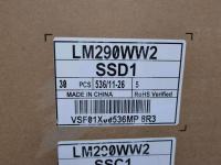 China LM290WW2-SSD1 LG Display 29.0