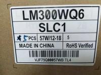 China LM300WQ6-SLC1 LG Display 30.0