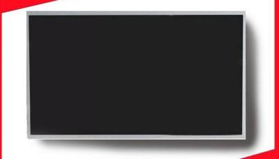 China LP101WH1-TLA1 LG Display 10.1