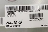 China 111PPI RGB 250cd/M2 TFT LCD Panel  25.0
