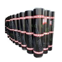 China Plastic modified asphalt waterproofing membrane (APP) for sale