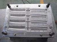 China High Precision And Hot Sales Plastic Comb Injection Mold For Injection Molding for sale