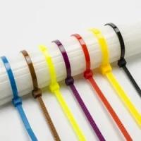 China Custom Hot Runner Plastic Products Molding With Extrusion Cable Tie/Injection Plastic Cable Tie for sale